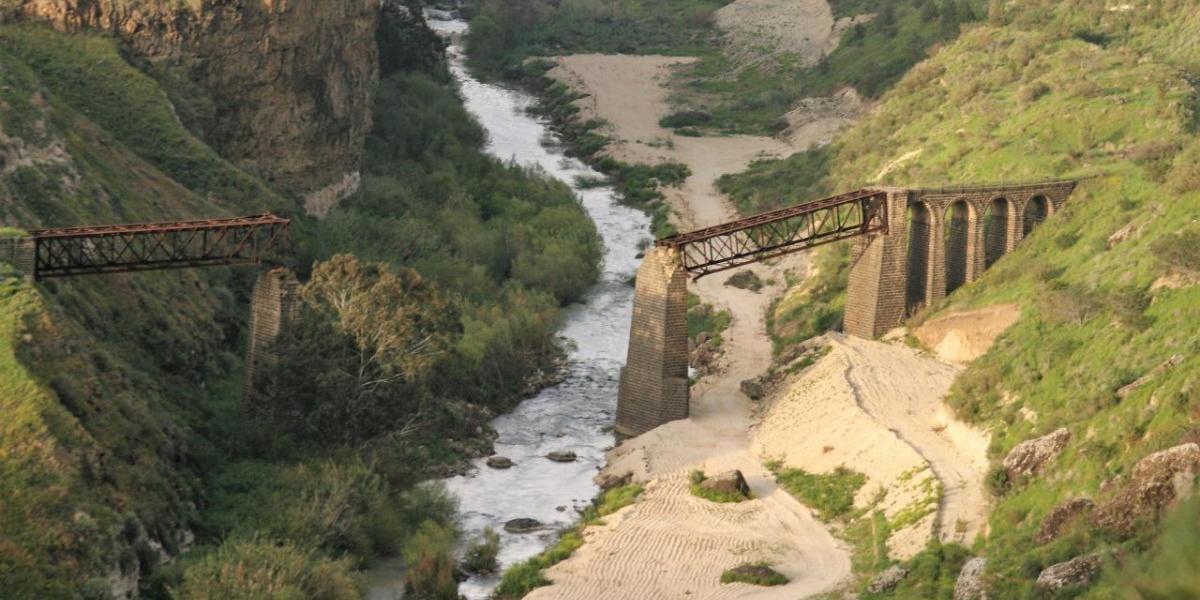 yarmouk riverbed